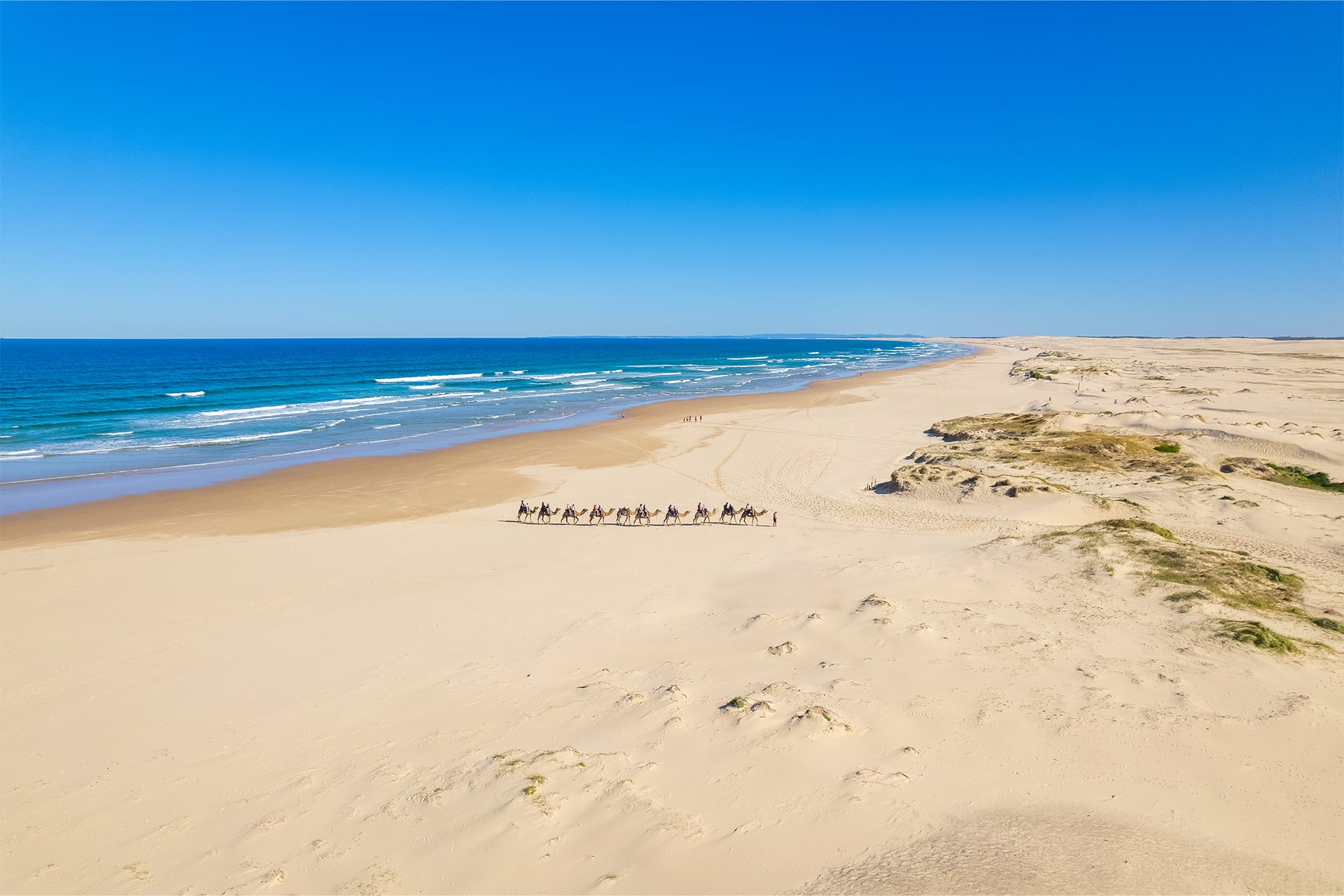 Nelson Bay Beaches Guide | Find Your New Favorite Beach