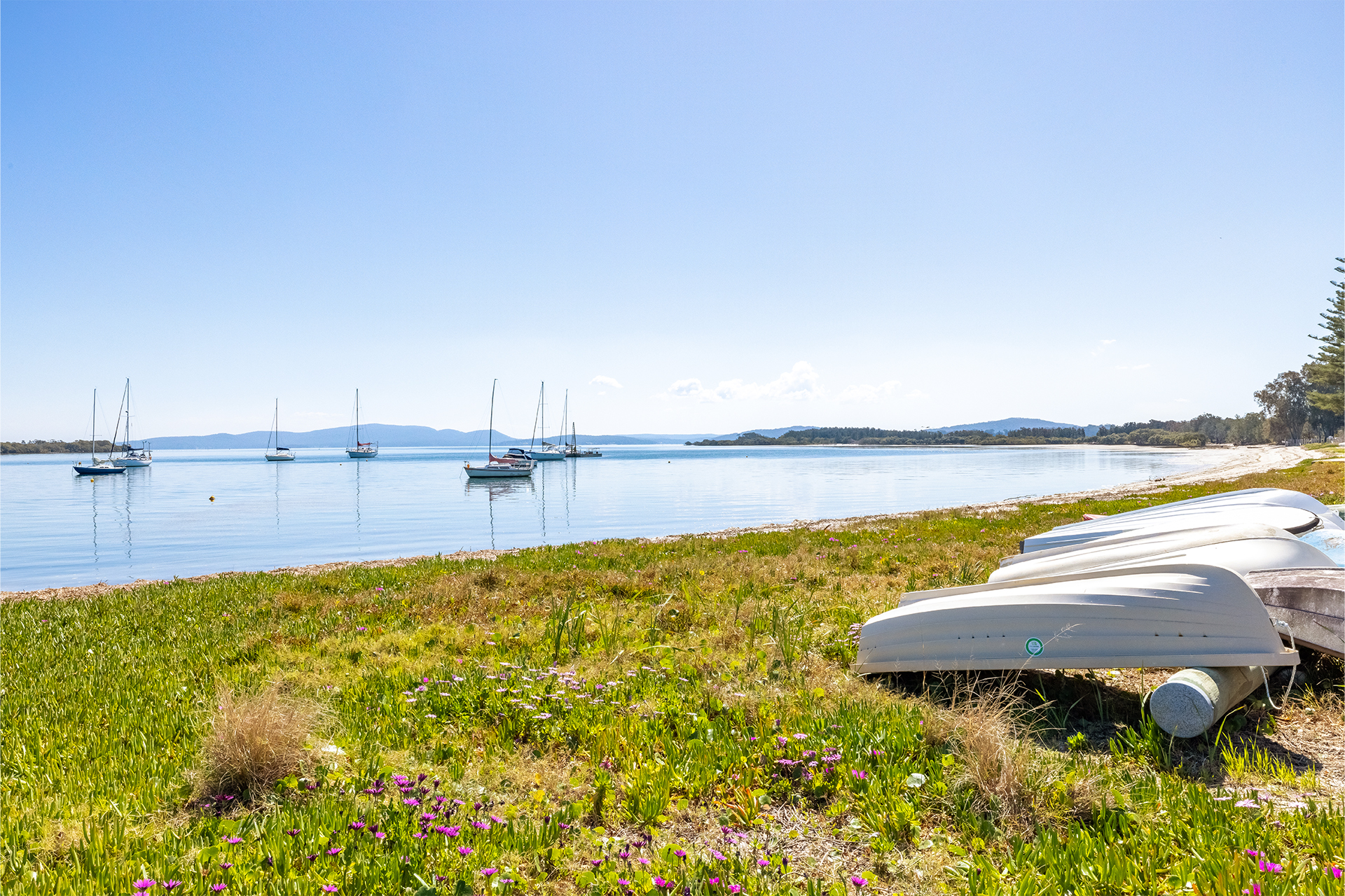 Things to Do in Nelson Bay / Port Stephens